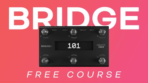 BRIDGE6 & BRIDGE4 Foundations: Free Mini-Course